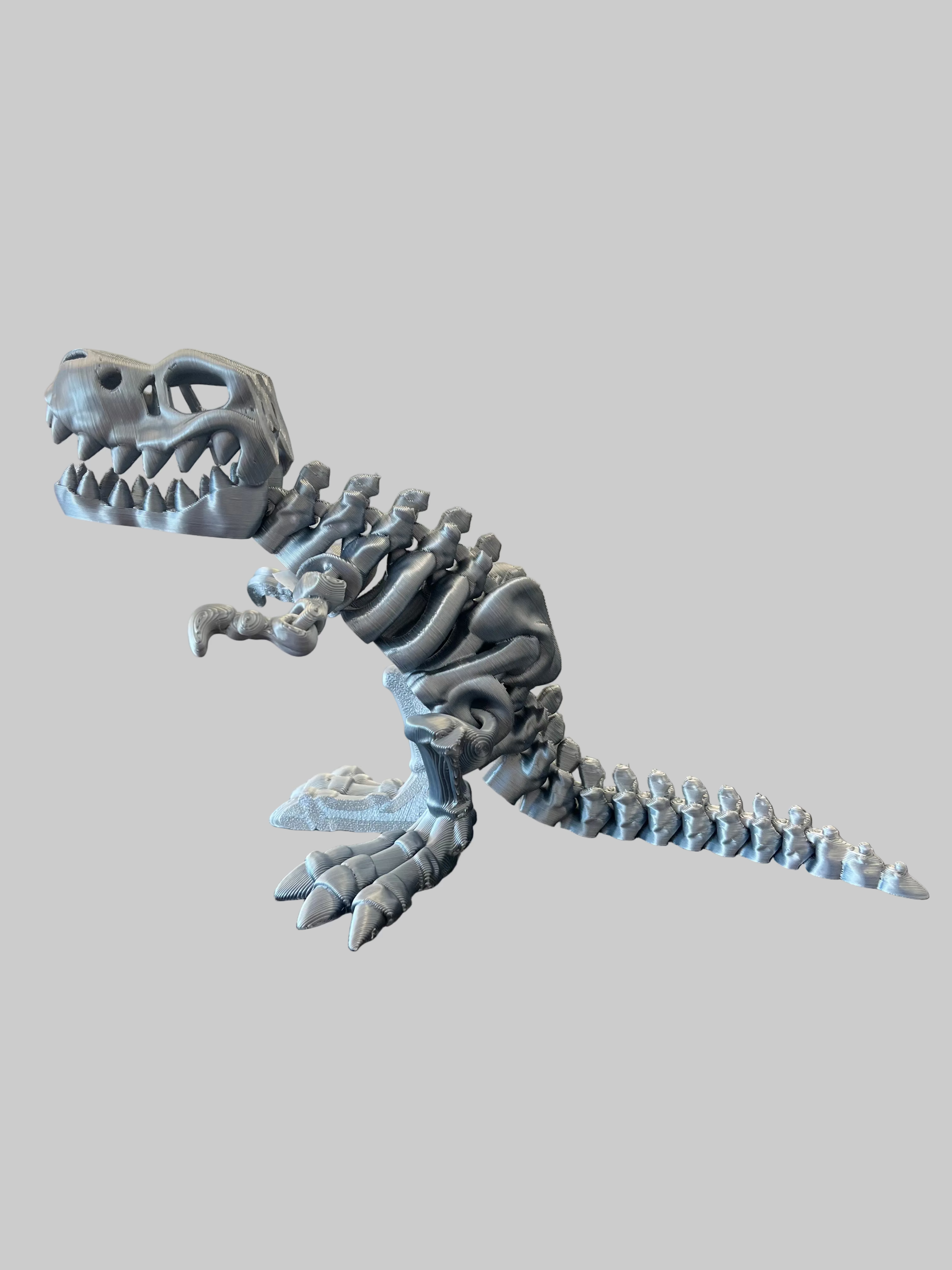 3D Dark Grey T-Rex (Medium) – Exotic Candiez LLC